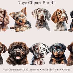 Puppy PNG Bundle, Dog Clipart Bundle, 100 Dog Breeds PNG Images ...