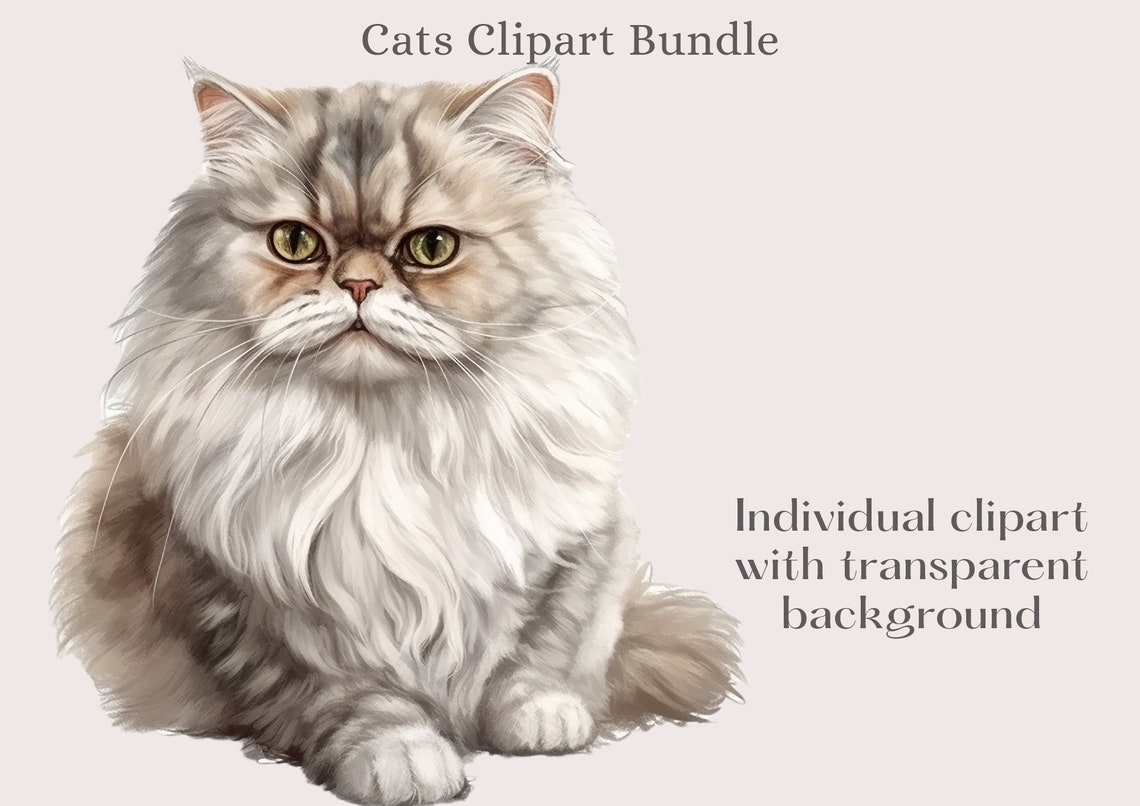 Cat Clipart Bundle, Cat Breeds PNG Images, Watercolor Cat Clipart, Cat ...