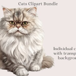 Cat Clipart Bundle, Cat Breeds PNG Images, Watercolor Cat Clipart, Cat ...