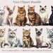 Cat Clipart Bundle, Cat Breeds PNG Images, Watercolor Cat Clipart, Cat ...