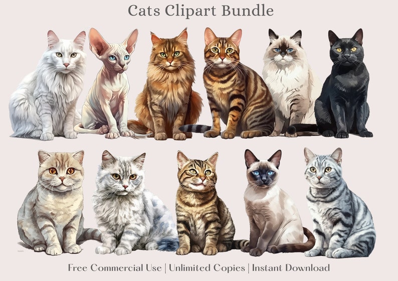 Cat Clipart Bundle, Cat Breeds PNG Images, Watercolor Cat Clipart, Cat ...