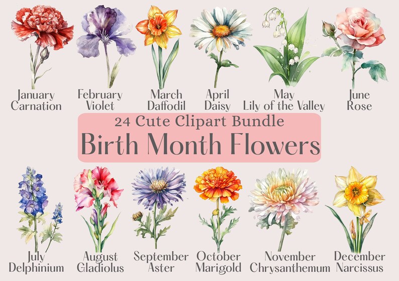 Birth Month Flowers Clipart Set Colorful Watercolor Floral PNG, Floral ...