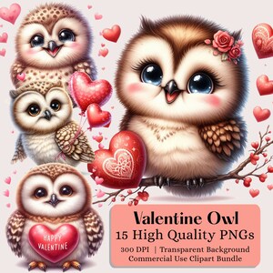 Watercolor Cute Valentines Owl Clipart, 15 High Quality Pngs ...