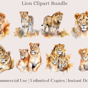 Lion Watercolor Clipart, Safari Animals Clipart Bundle, Jungle Safari ...