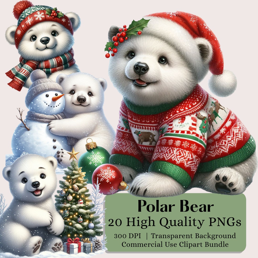 Winter Polar Bear Clipart, 20 High Quality Pngs, Christmas Graphics ...