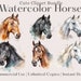 Horse PNG, Horse Clipart Set, Watercolor Horse PNG Western Clipart.farm ...