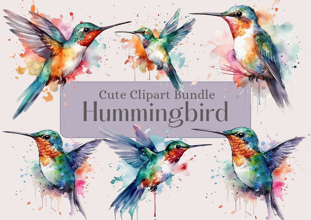 Watercolor Birds Clipart, Hummingbird Clip Art PNG Format, Digital ...