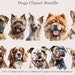 Dog Clipart Bundle, 100 Dog Breeds PNG Images, Watercolor Dog Clipart ...