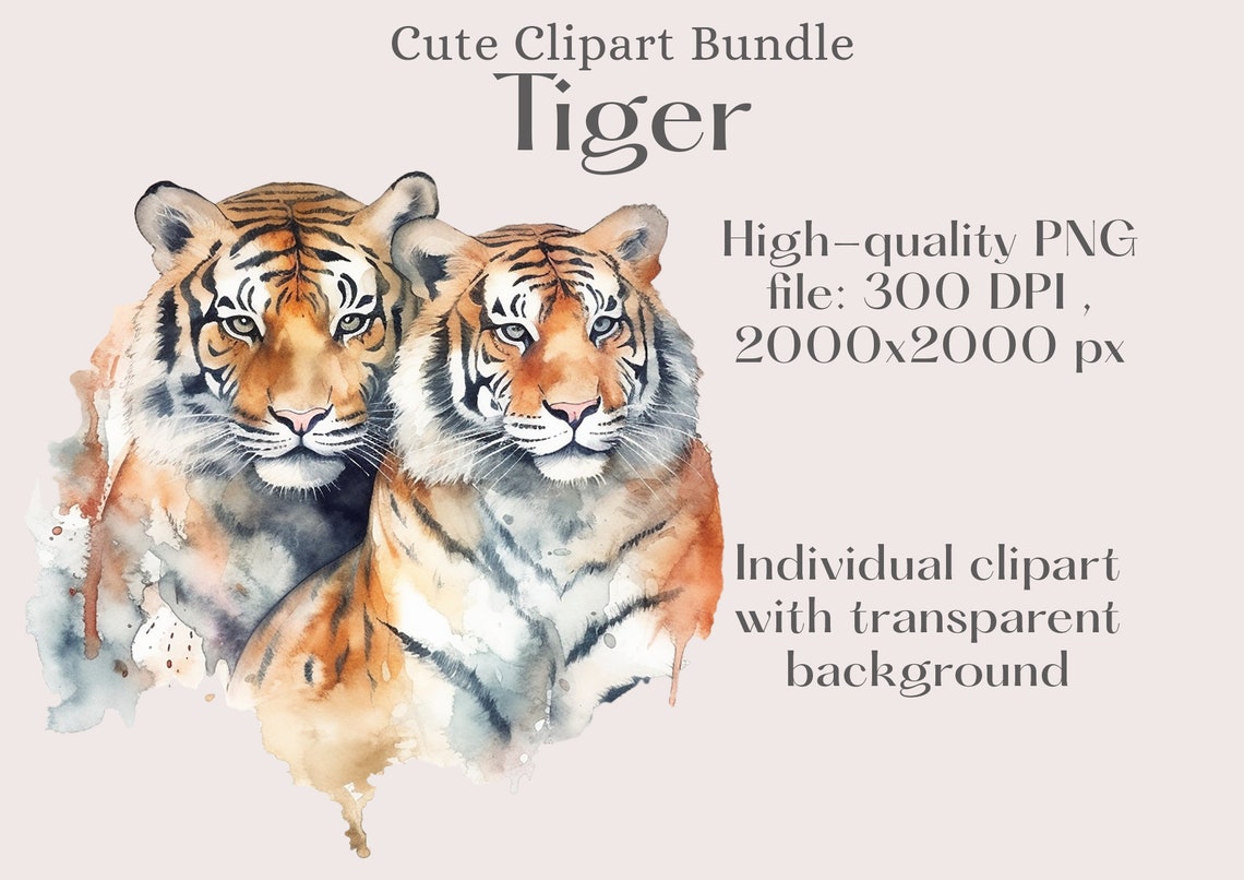 Tiger Clipart Watercolor Safari Animals Clipart Bundle - Etsy