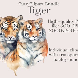 Tiger Clipart Watercolor, Safari Animals Clipart Bundle, Jungle Safari ...