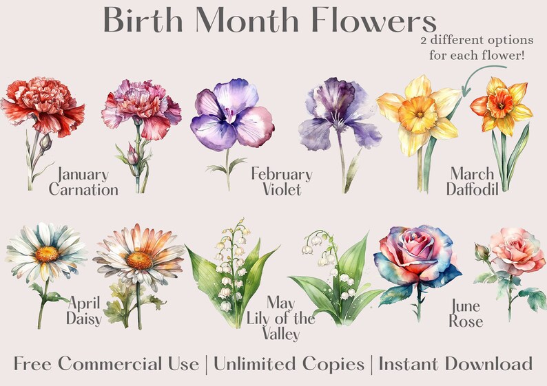Birth Month Flowers Clipart Set Colorful Watercolor Floral PNG, Floral ...