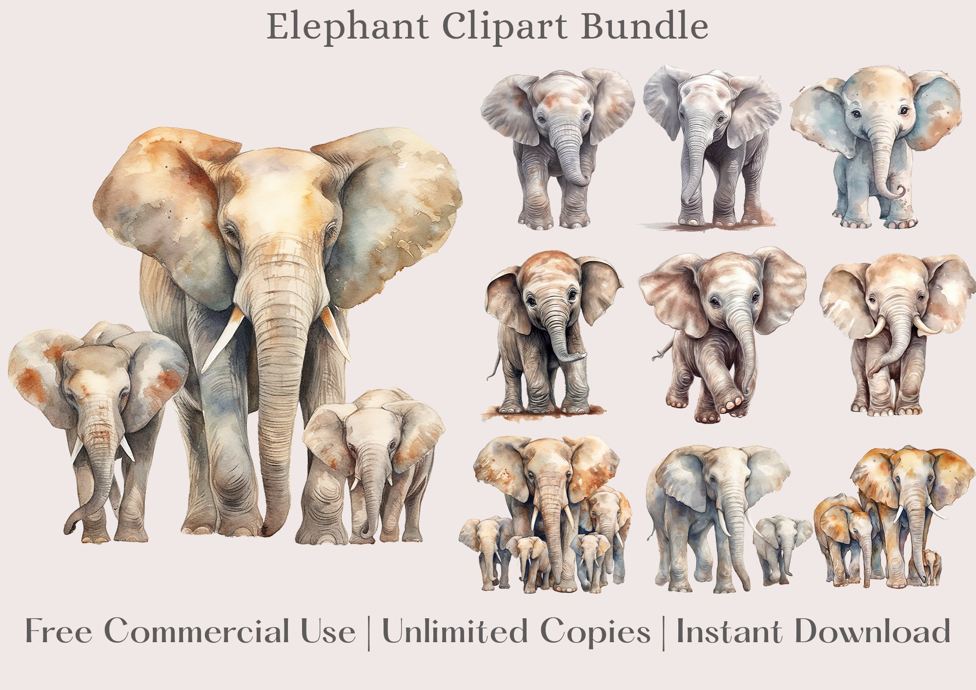 Elephant Watercolor Clipart, Baby Elephant Clipart, Baby Safari Animals ...