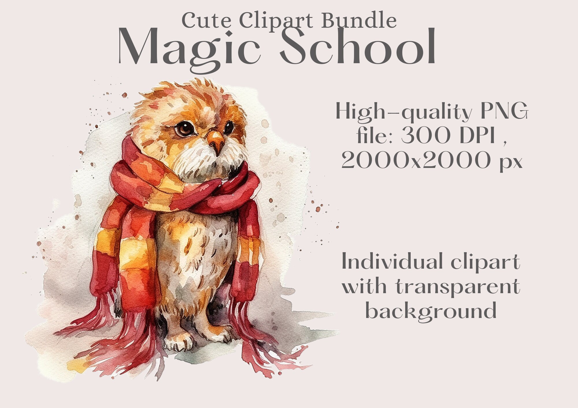 Wizard School Clipart Bundle, Magic School Clipart, Magic Animals ...