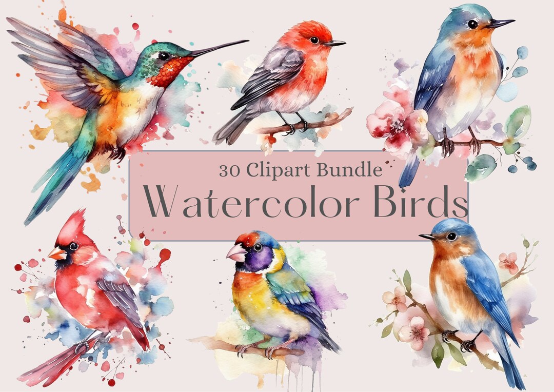 Watercolor Birds Clip Art, Colorful Birds Clipart, Spring Clipart, Bird ...