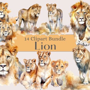 Lion Watercolor Clipart, Safari Animals Clipart Bundle, Jungle Safari ...