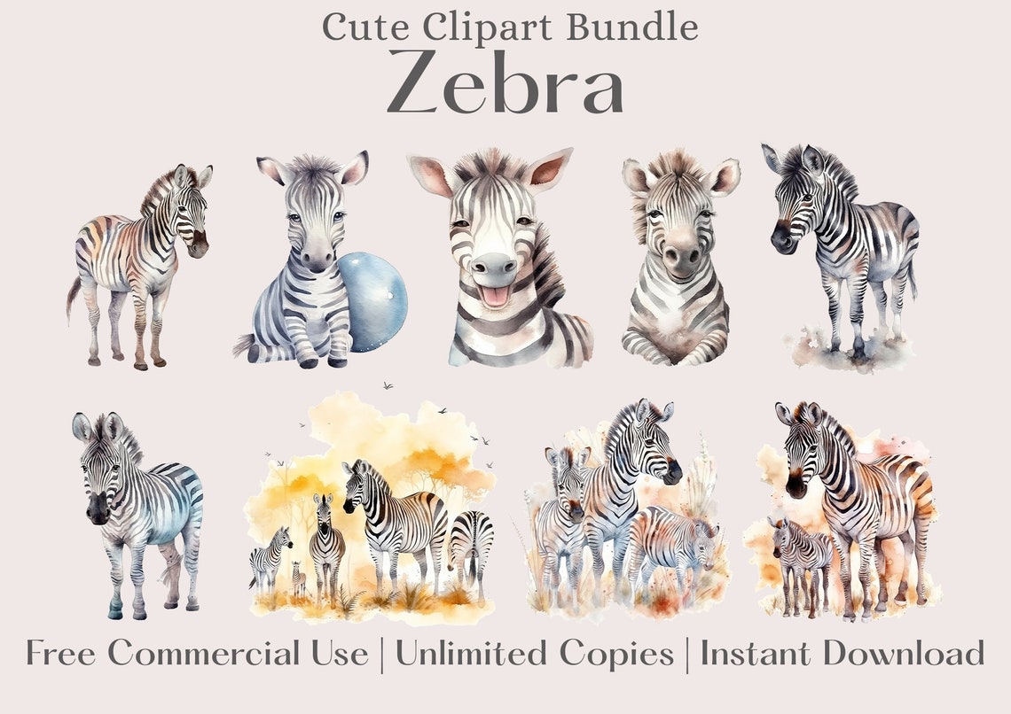 Zebra Watercolor Clipart, Safari Animals Clipart Bundle, Baby Animal ...