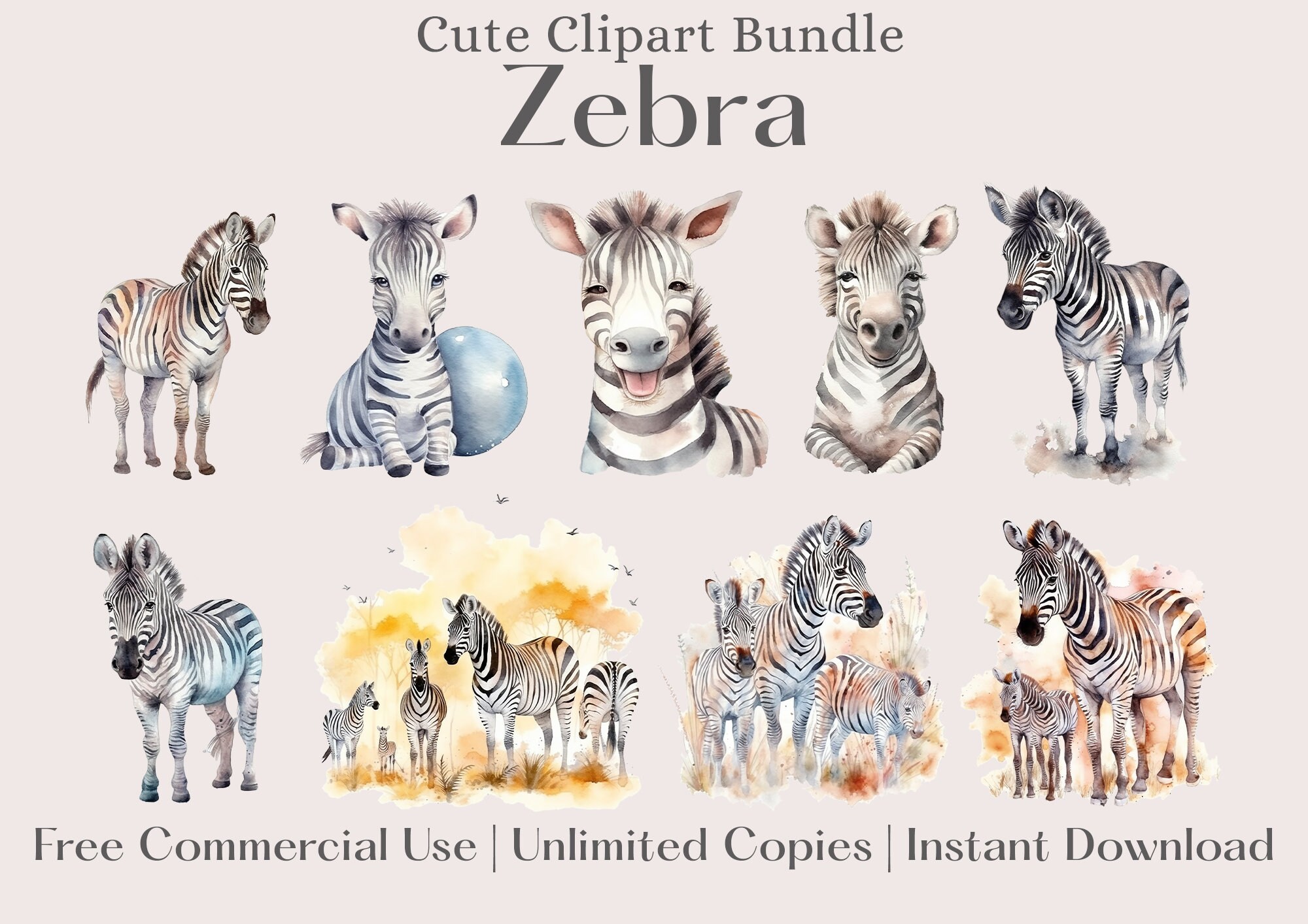 Zebra Watercolor Clipart, Safari Animals Clipart Bundle, Baby Animal ...