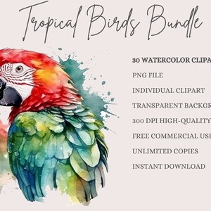 Tropical Birds Clip Art, Flamingo Clipart, Parrot Clipart, Toucans ...