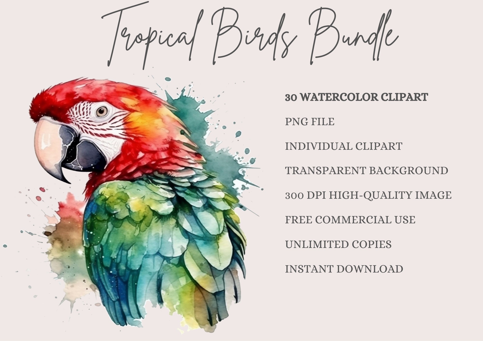 Tropical Birds Clip Art, Flamingo Clipart, Parrot Clipart, Toucans ...