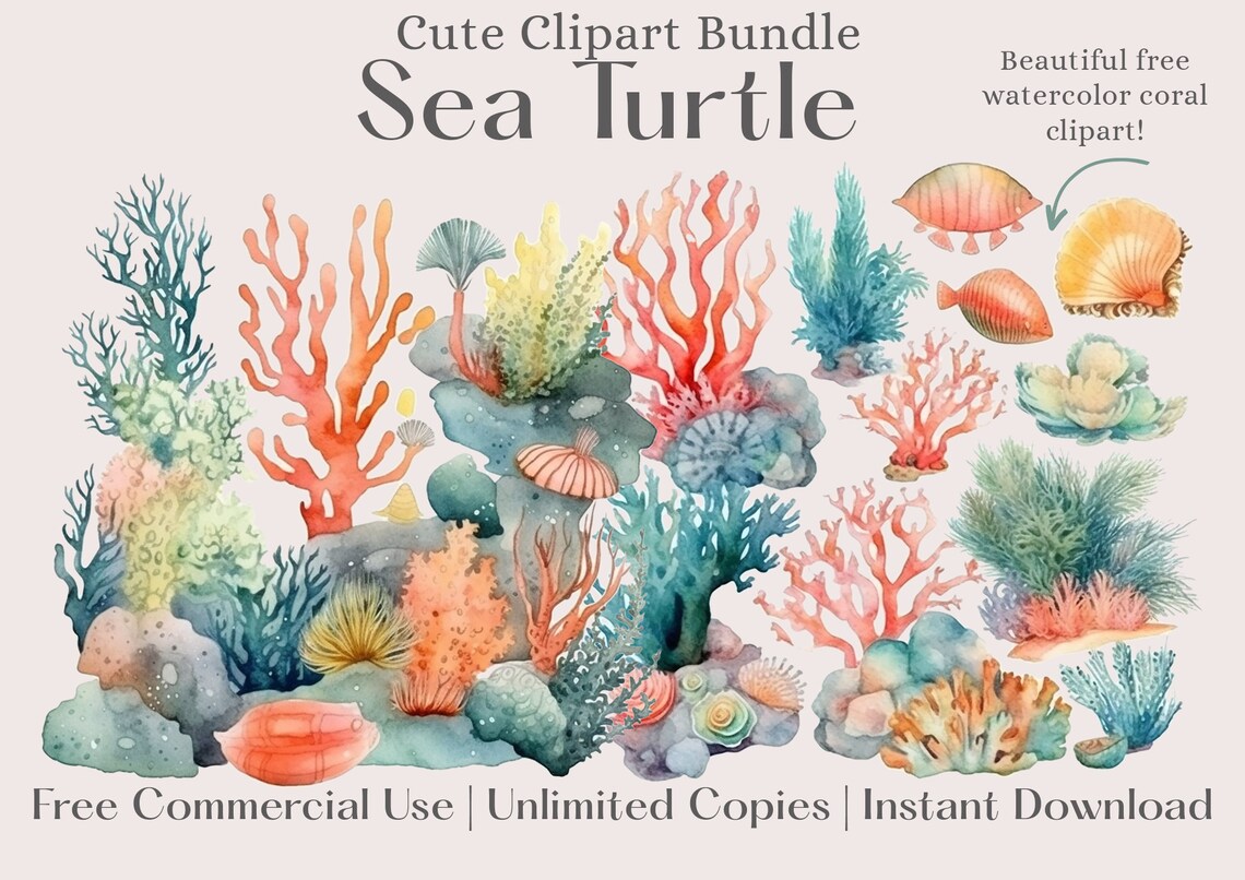 Watercolor Sea Turtle Clipart, Cute Nautical Ocean Animals PNG, Fish ...