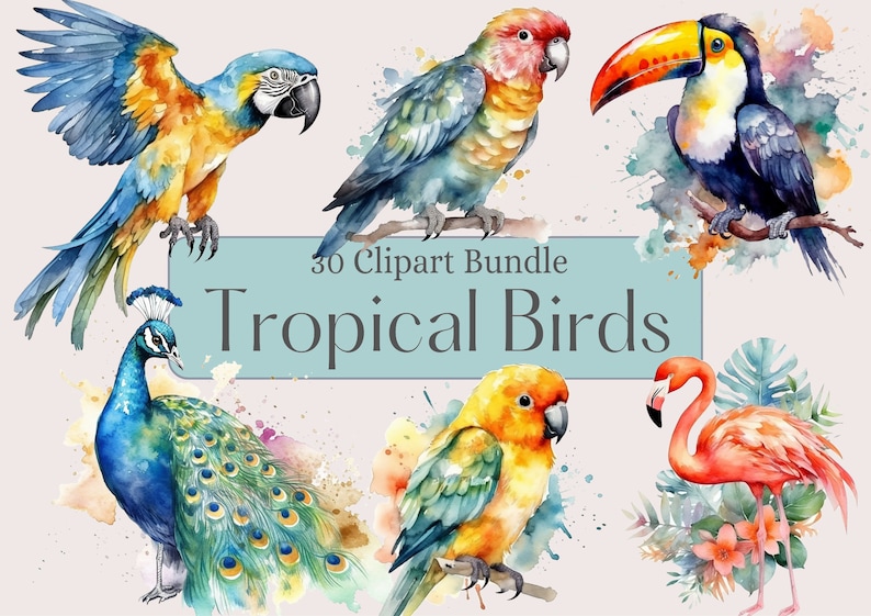 Tropical Birds Clip Art, Flamingo Clipart, Parrot Clipart, Toucans ...