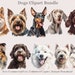 Dog Clipart Bundle, 100 Dog Breeds PNG Images, Watercolor Dog Clipart ...