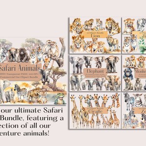 Lion Watercolor Clipart, Safari Animals Clipart Bundle, Jungle Safari ...