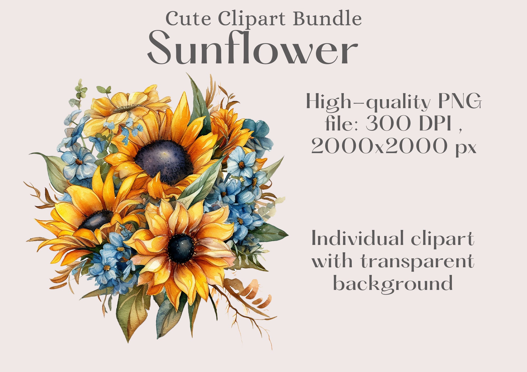 Watercolor Sunflower Clipart Bundle, Sunflower Clipart, Fall ...