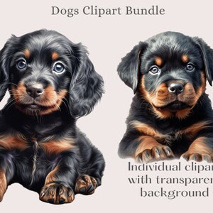 Puppy PNG Bundle, Dog Clipart Bundle, 100 Dog Breeds PNG Images ...