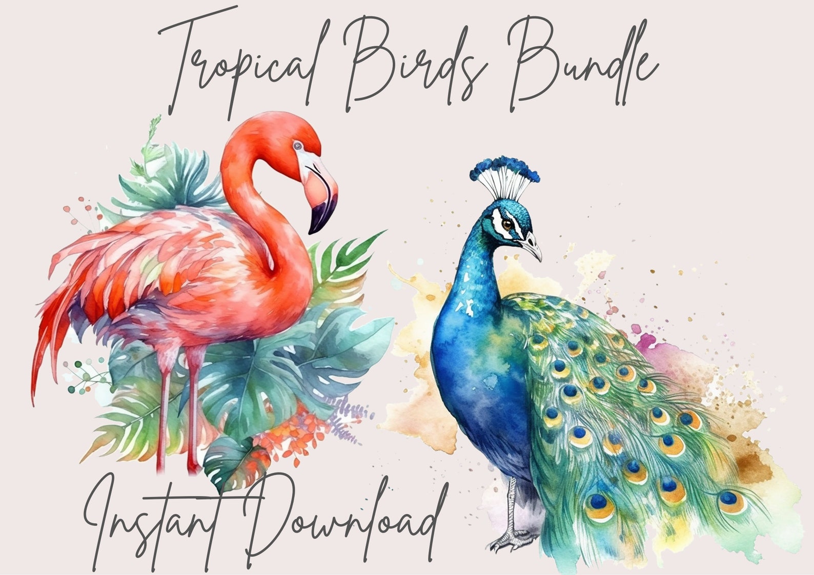 Tropical Birds Clip Art, Flamingo Clipart, Parrot Clipart, Toucans ...