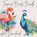Tropical Birds Clip Art, Flamingo Clipart, Parrot Clipart, Toucans ...