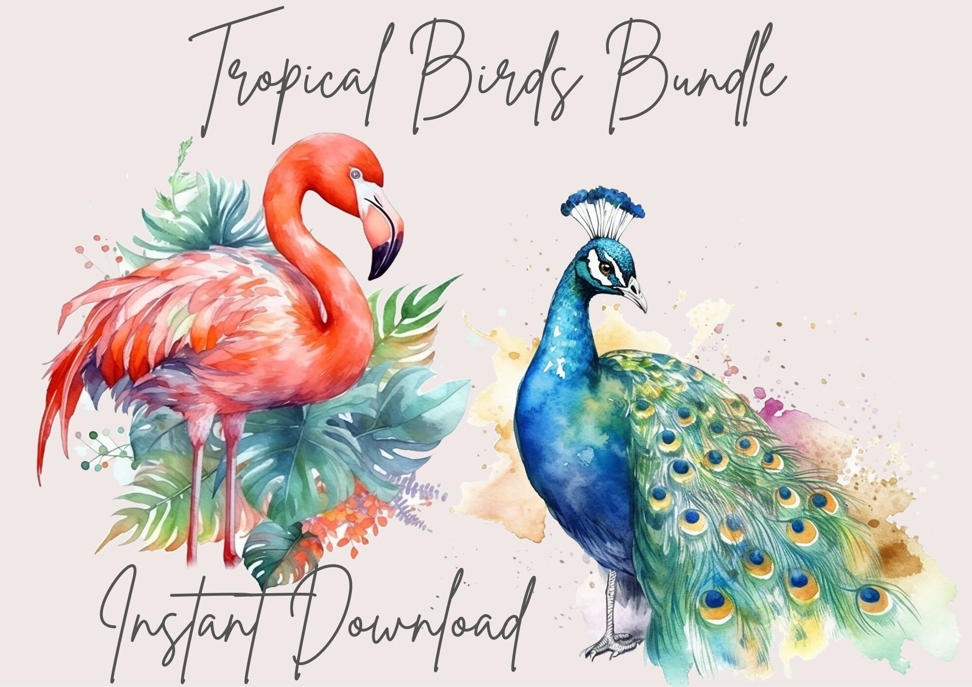 Tropical Birds Clip Art, Flamingo Clipart, Parrot Clipart, Toucans ...