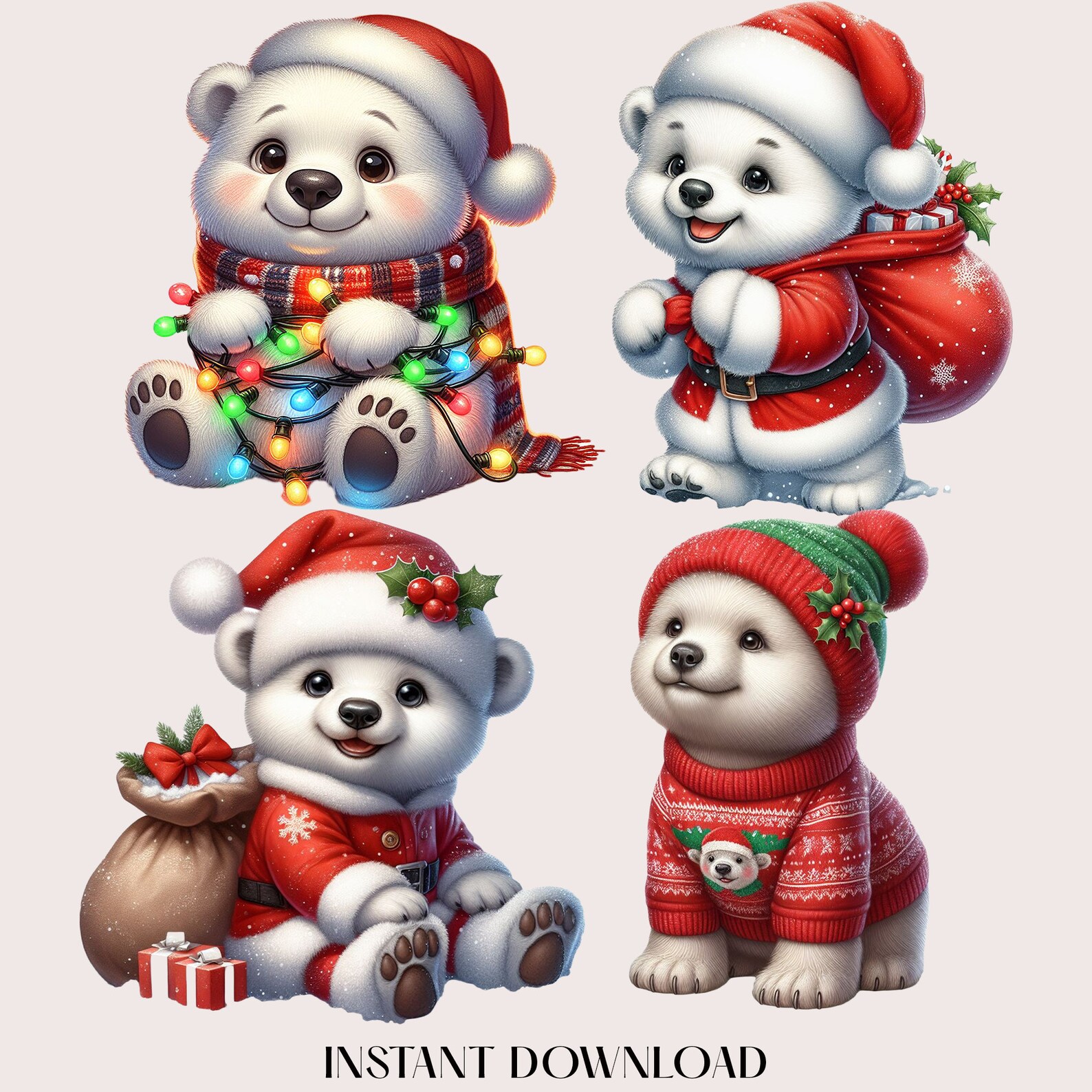 Winter Polar Bear Clipart, 20 High Quality Pngs, Christmas Graphics ...