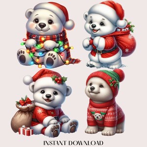 Winter Polar Bear Clipart, 20 High Quality Pngs, Christmas Graphics ...