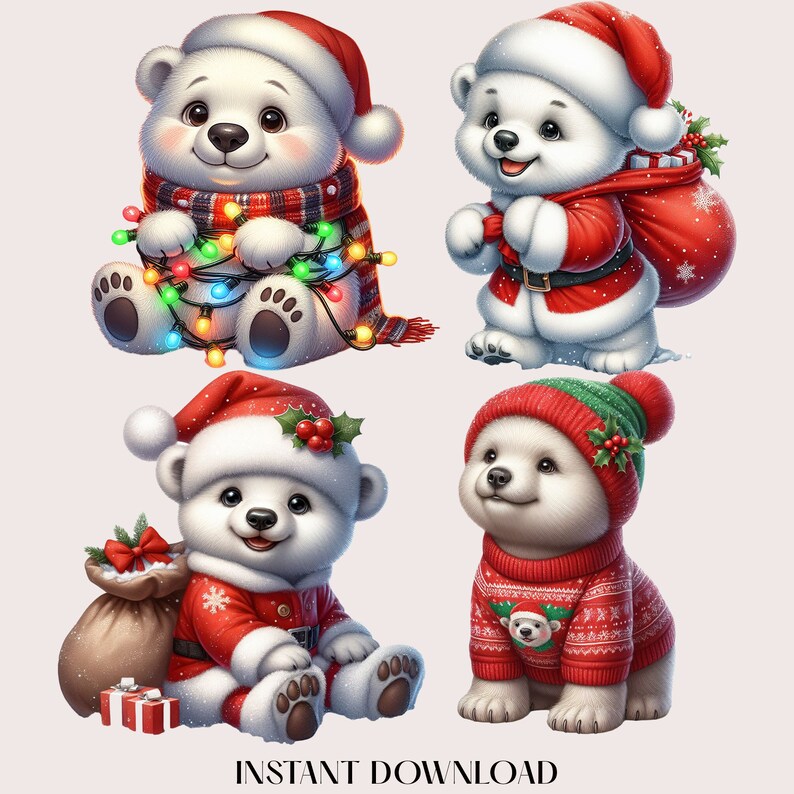 Winter Polar Bear Clipart, 20 High Quality Pngs, Christmas Graphics ...