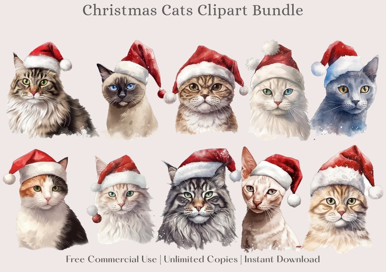 Christmas Cats Clipart Bundle, Cat Breeds PNG, Watercolor Cat Clipart ...