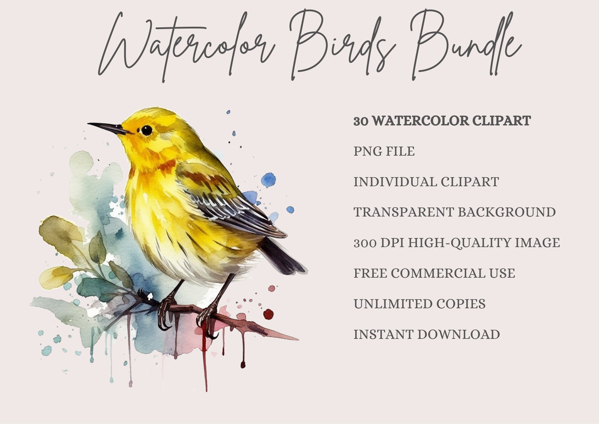 Watercolor Birds Clip Art, Colorful Birds Clipart, Spring Clipart, Bird ...