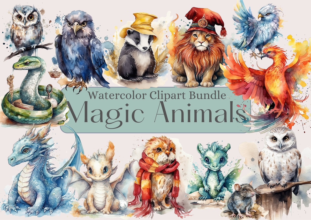 Magic School Clipart Bundle, Magic Animals, Fantasy Clipart, Witch and ...