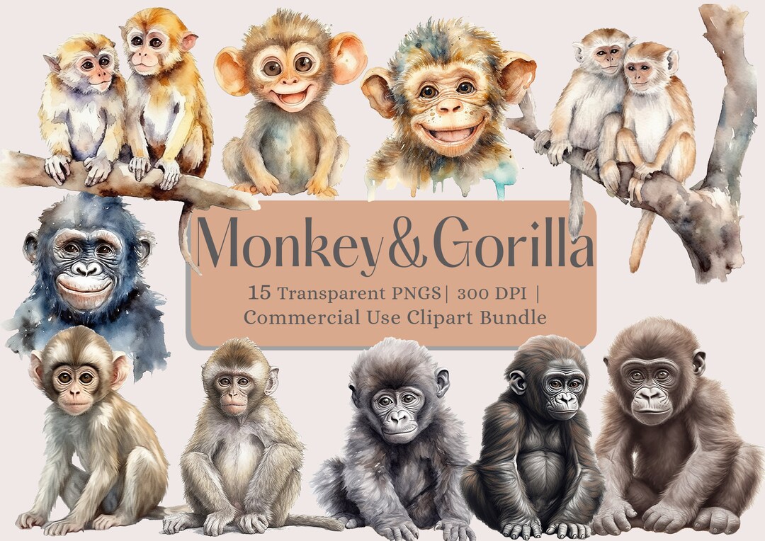 Monkey Watercolor Clipart, Safari Animals Clipart Watercolor, Baby ...