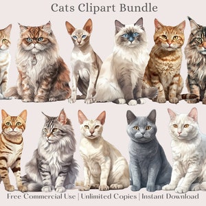 Cat Clipart Bundle, Cat Breeds PNG Images, Watercolor Cat Clipart, Cat ...