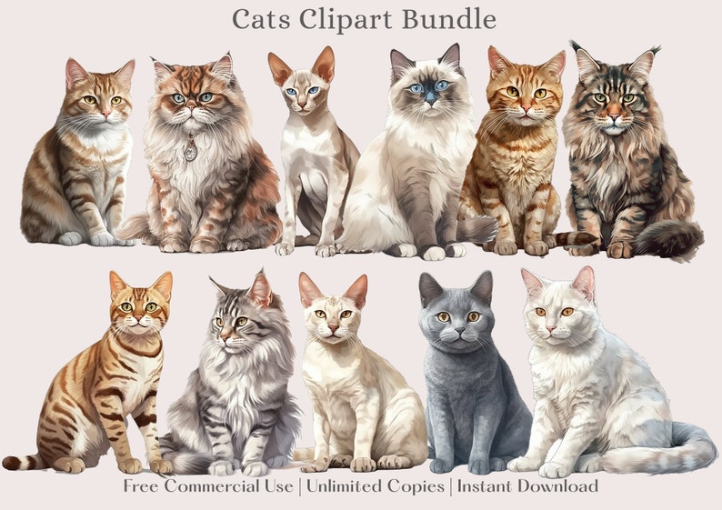Cat Clipart Bundle, Cat Breeds PNG Images, Watercolor Cat Clipart, Cat ...