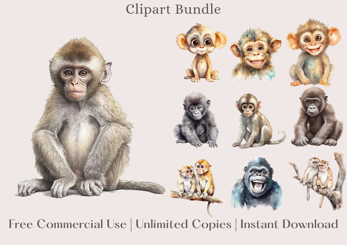 Monkey Watercolor Clipart Safari Animals Clipart Watercolor - Etsy