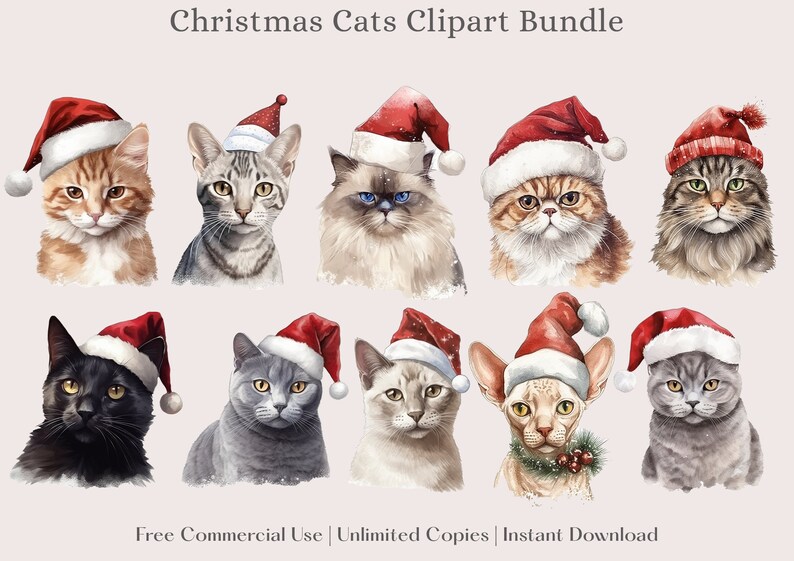 Christmas Cats Clipart Bundle, Cat Breeds PNG, Watercolor Cat Clipart ...