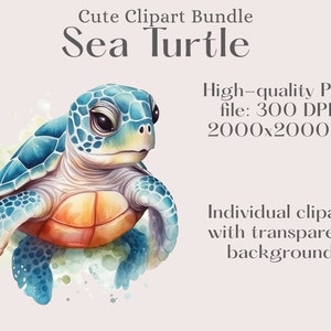 Watercolor Sea Turtle Clipart, Cute Nautical Ocean Animals PNG, Fish ...
