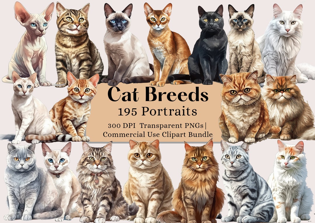 Cat Clipart Bundle, Cat Breeds PNG Images, Watercolor Cat Clipart, Cat ...