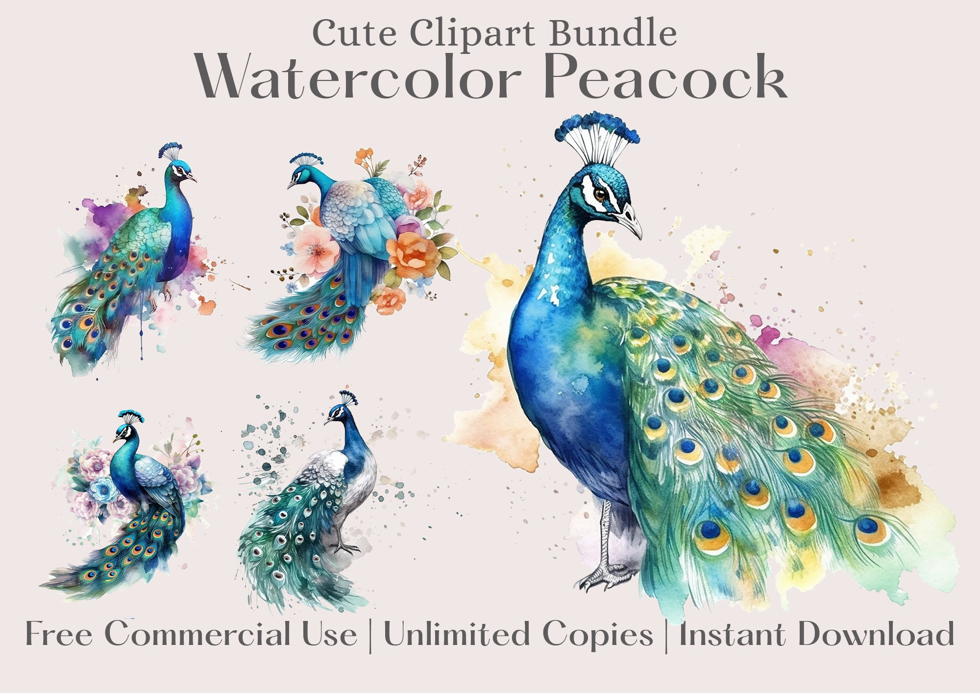 Peacocks Watercolor Clipart Set, Stunning Bird Illustrations, PNG ...