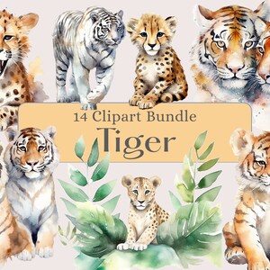 Tiger Clipart Watercolor, Safari Animals Clipart Bundle, Jungle Safari ...