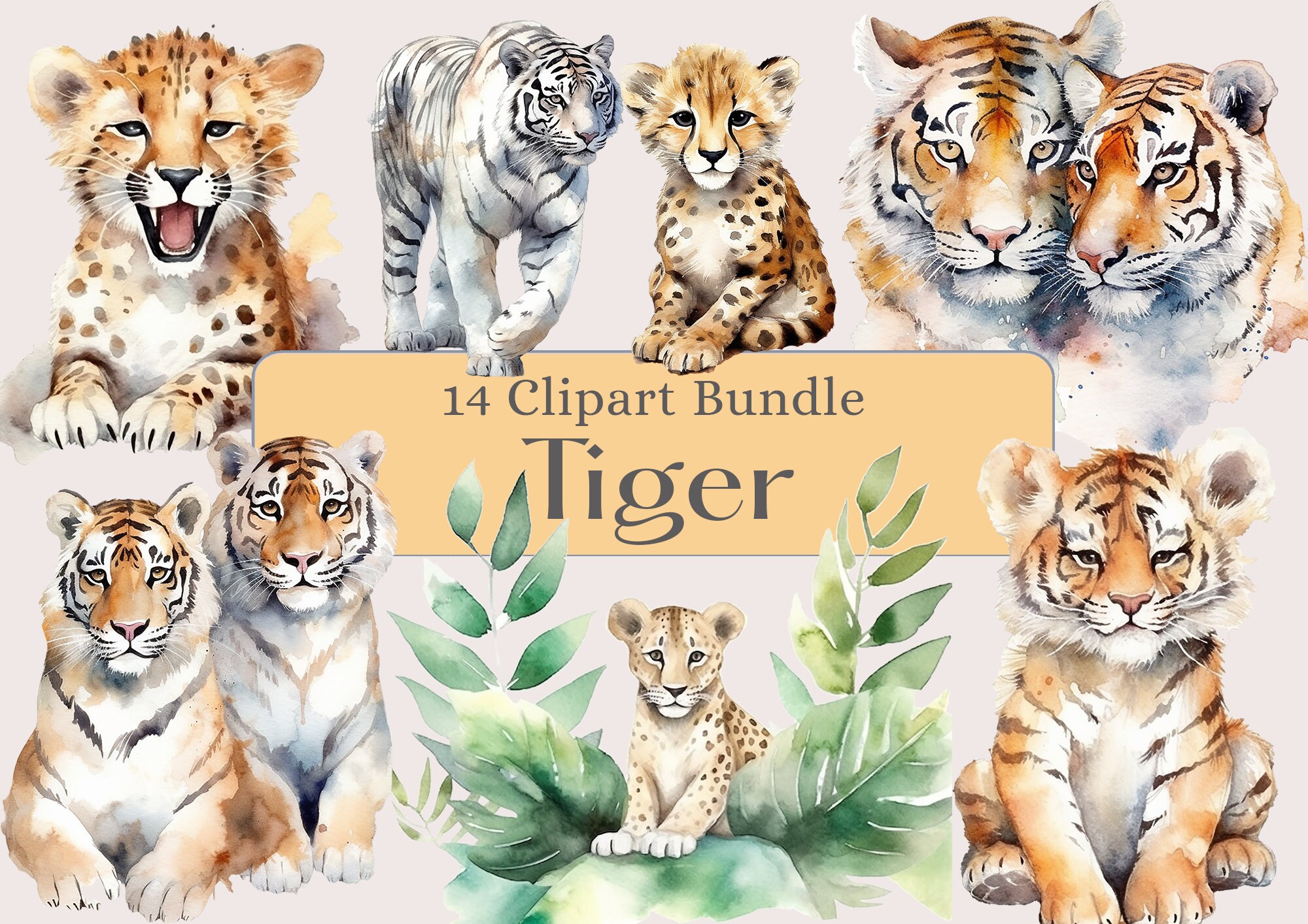 Tiger Clipart Watercolor Safari Animals Clipart Bundle - Etsy