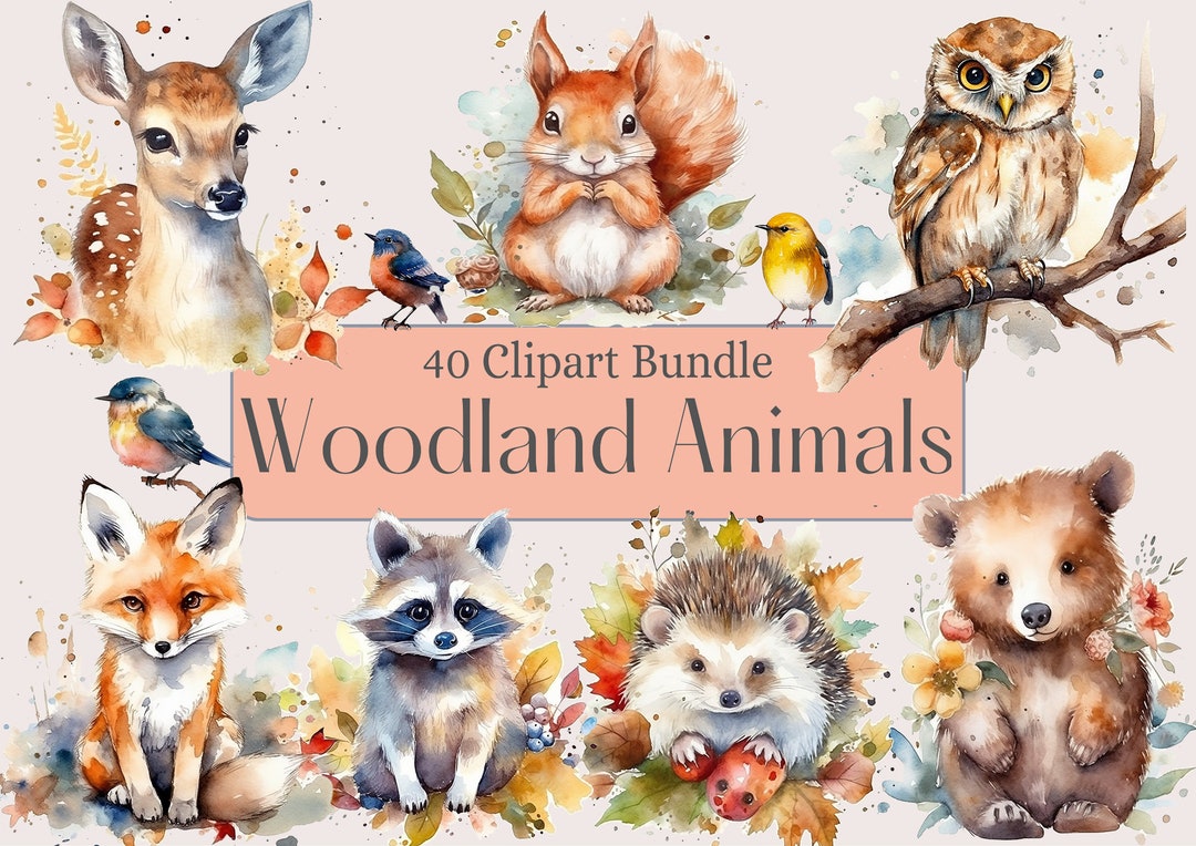 Woodland Animals Watercolor Clipart , Fox, Bear, Deer, Owl, Bird ...