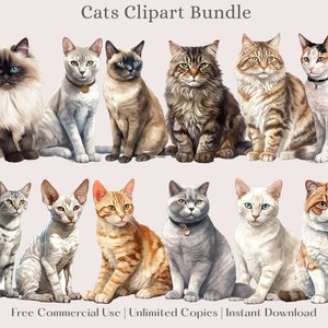 Cat Clipart Bundle, Cat Breeds PNG Images, Watercolor Cat Clipart, Cat ...